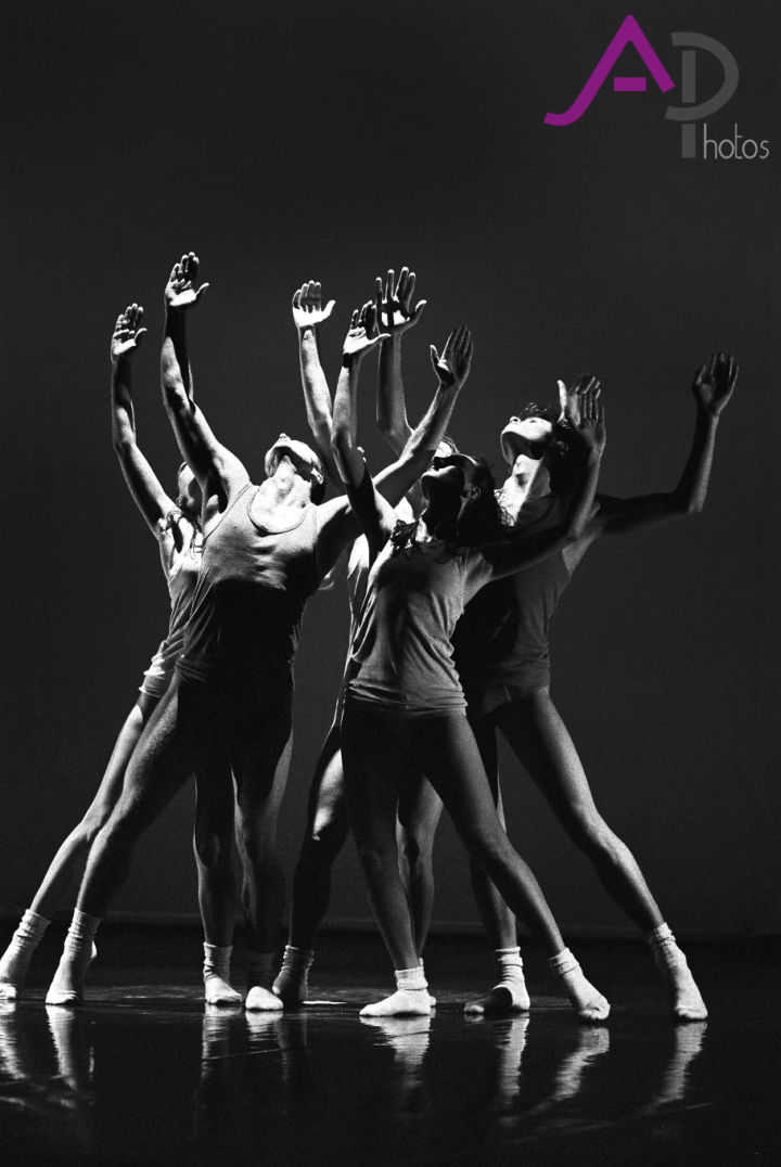 Modern Jazz - Ardecophotos
